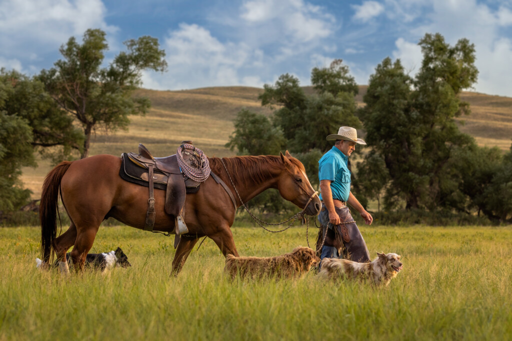 After shopping spree, Mormon church is Nebraska's top land purchaser