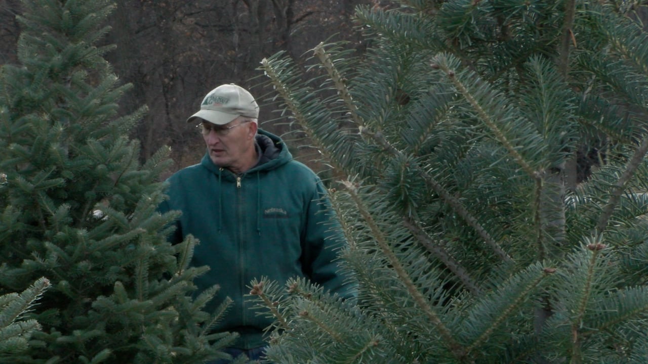 Not out of the woods: Wet winter won’t end drought for Nebraska ...
