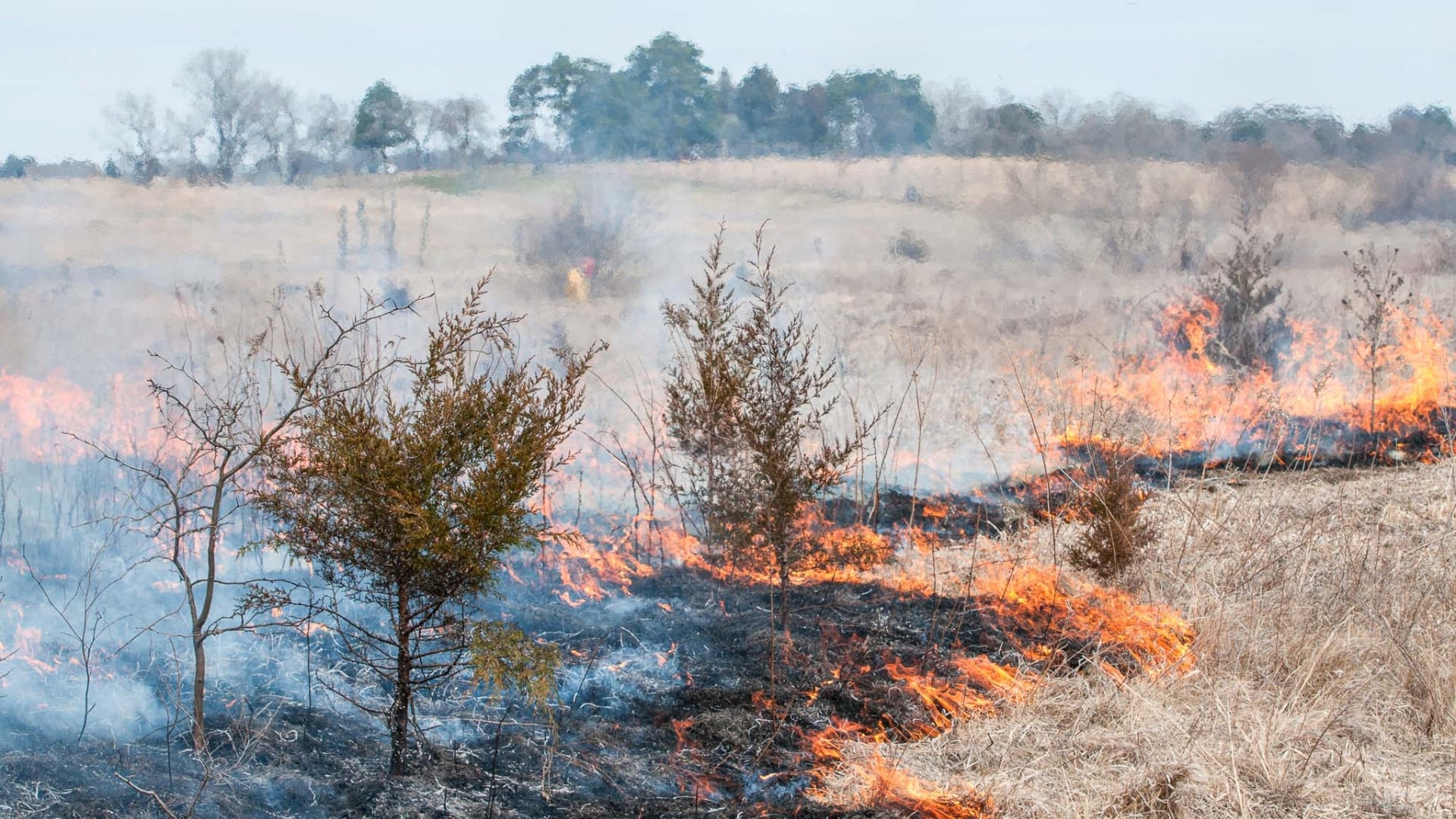 Part of Wilderness Park in Lincoln temporarily closed due to controlled ...