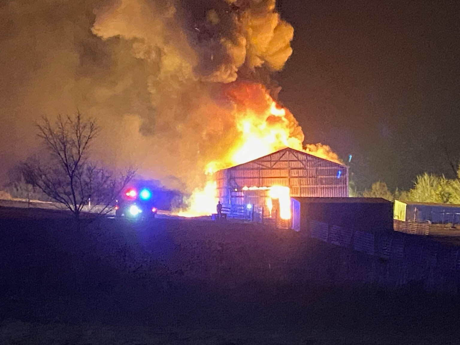 Four ponies, two sheep killed in outbuilding fire in rural Lancaster County