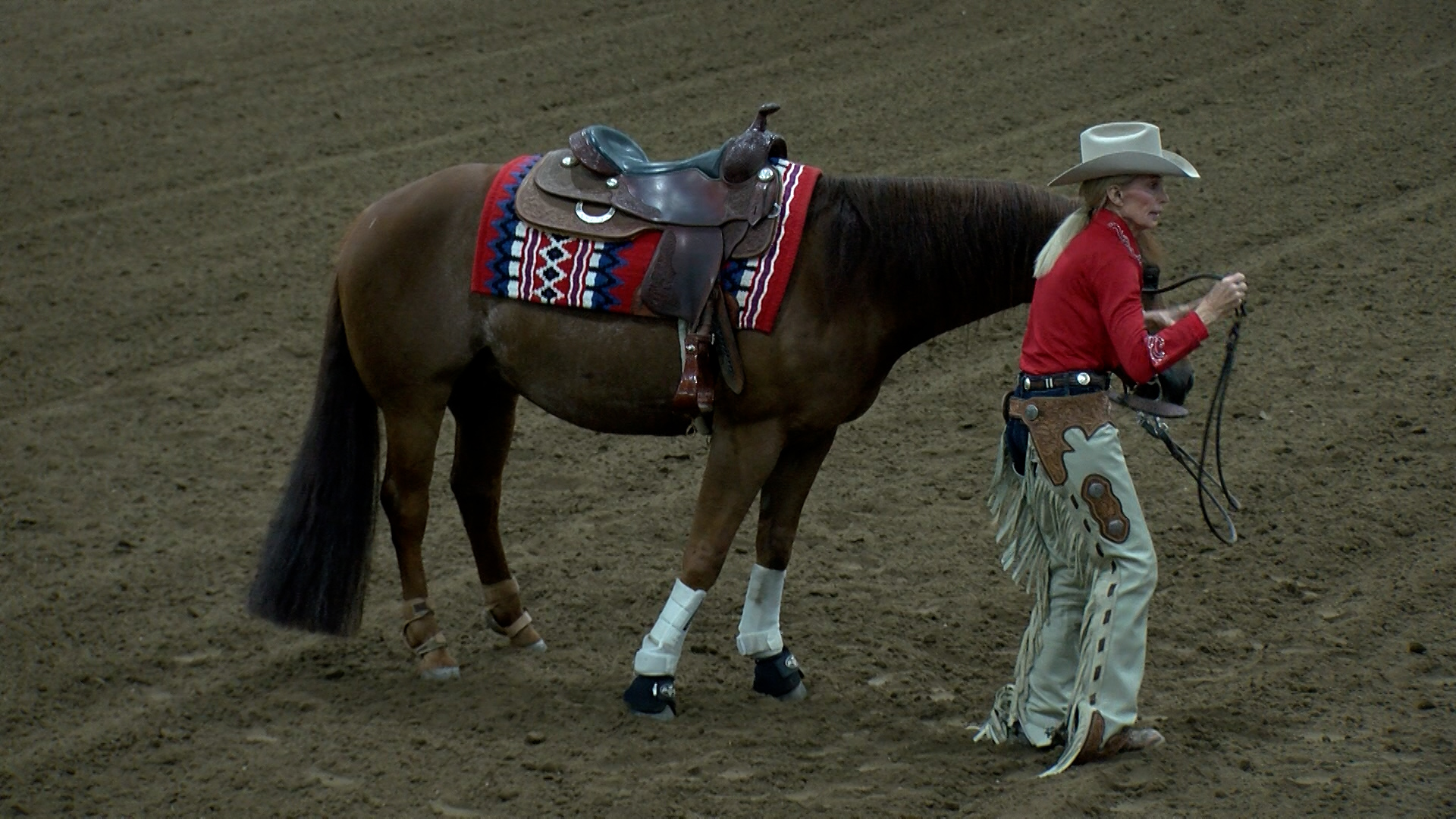 Horse reining competition in Lincoln gallops into the weekend