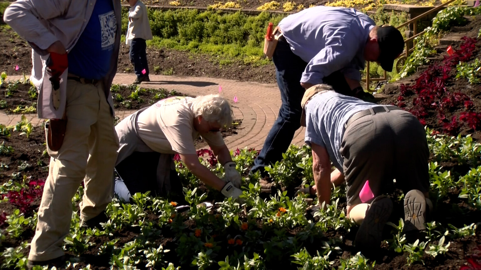 Sunken Gardens 'kicks off' summer with annual planting party