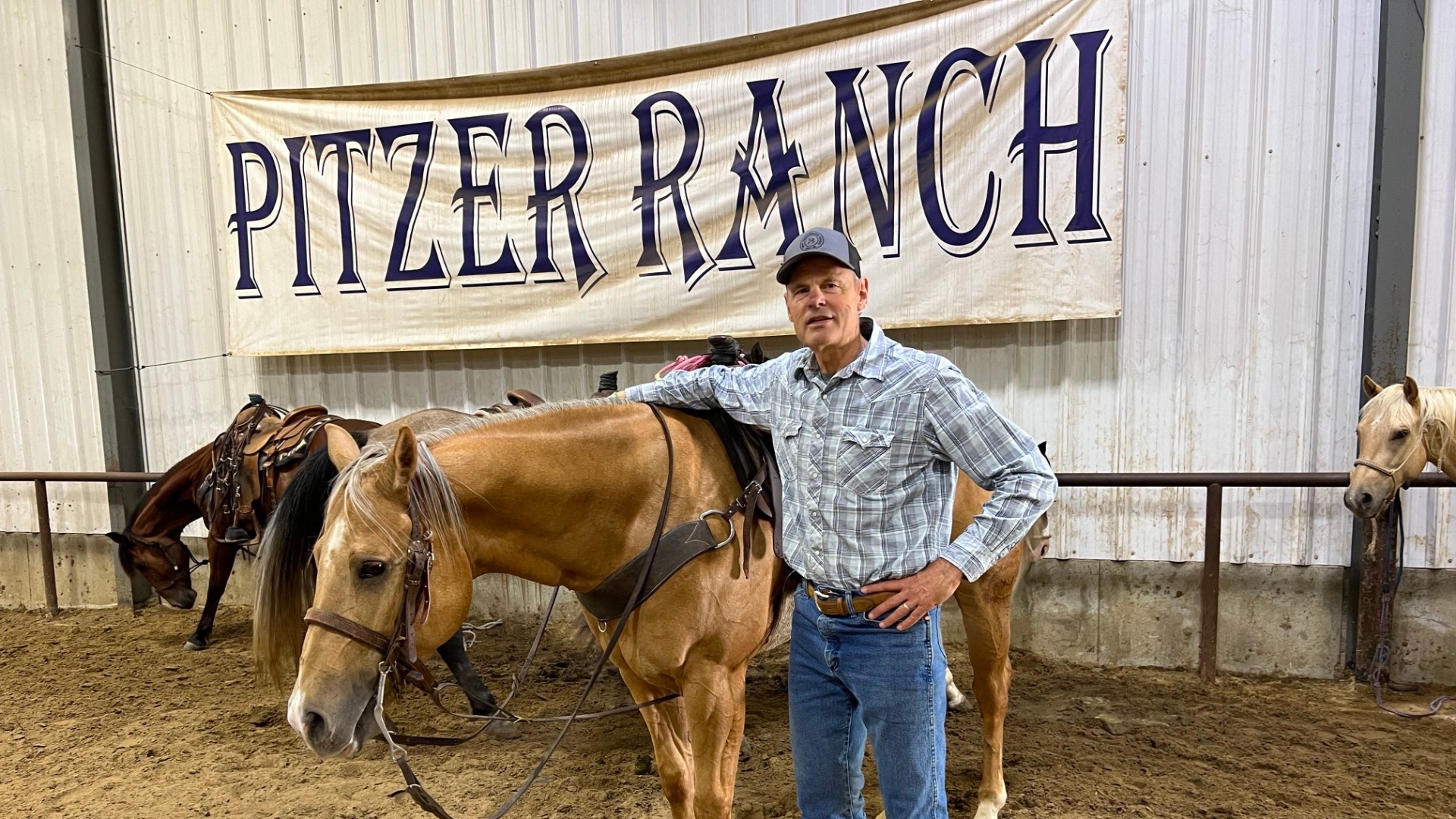 'Time to cowboy up!': Nebraska's John Cook buys horse after contract ...