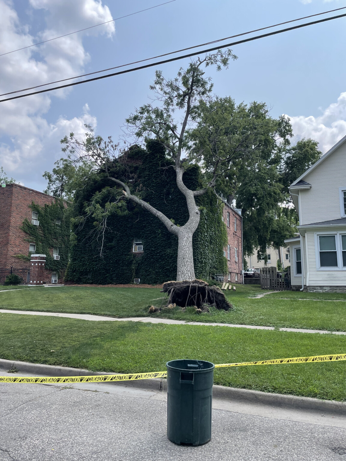 Tree falls onto apartment building in northeast Lincoln