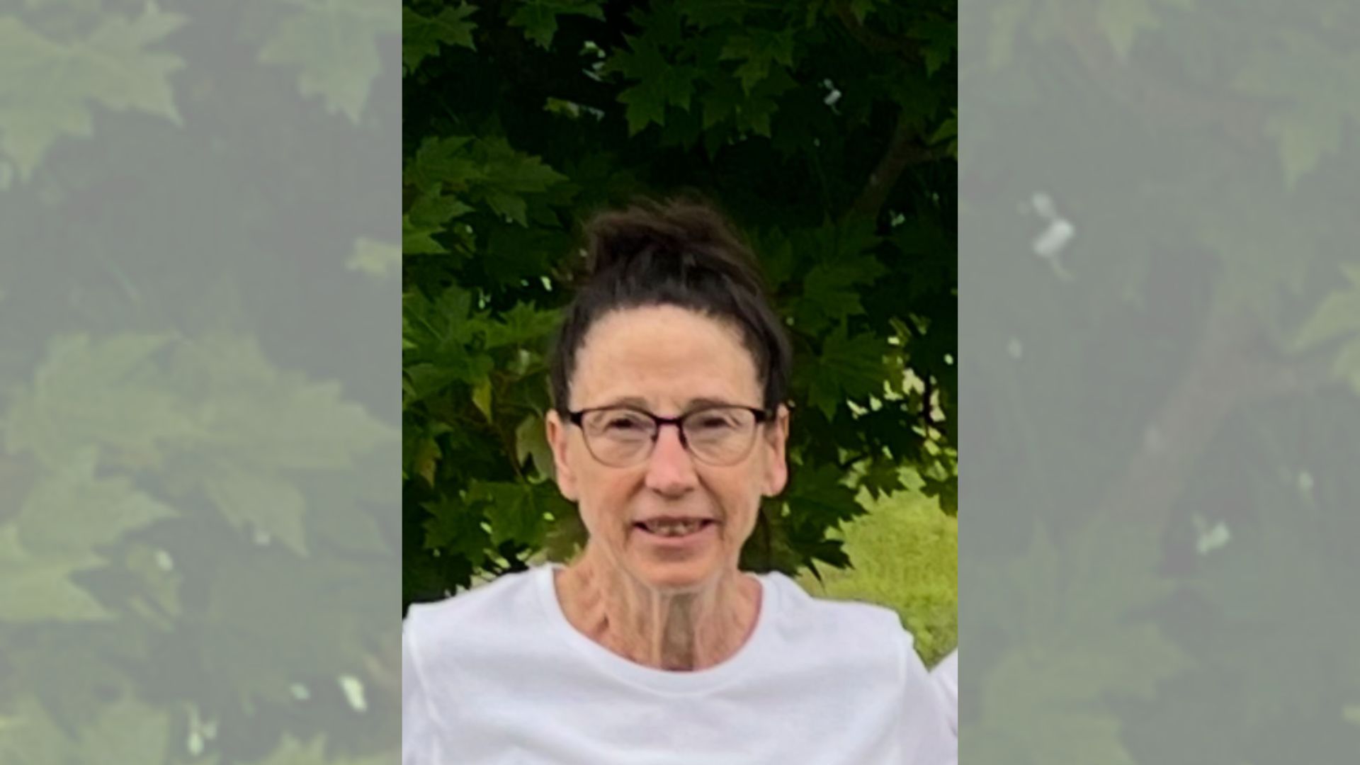 Body found following pursuit near Lincoln identified as missing ...