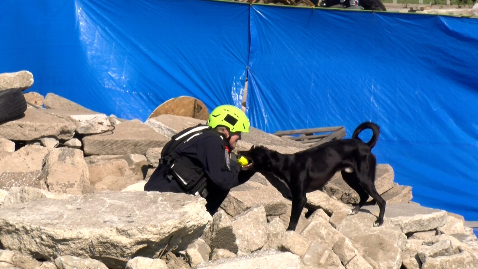 Search and rescue teams travel to Lincoln to get dogs FEMA-certified