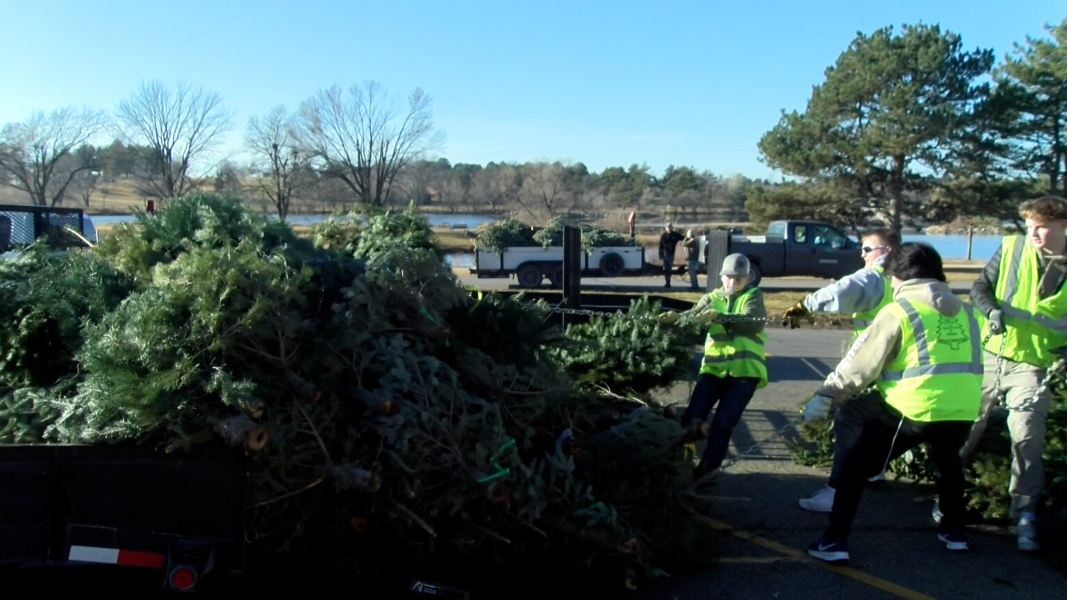 Lincoln Boy Scout Troop 8 helps give Christmas trees a second life