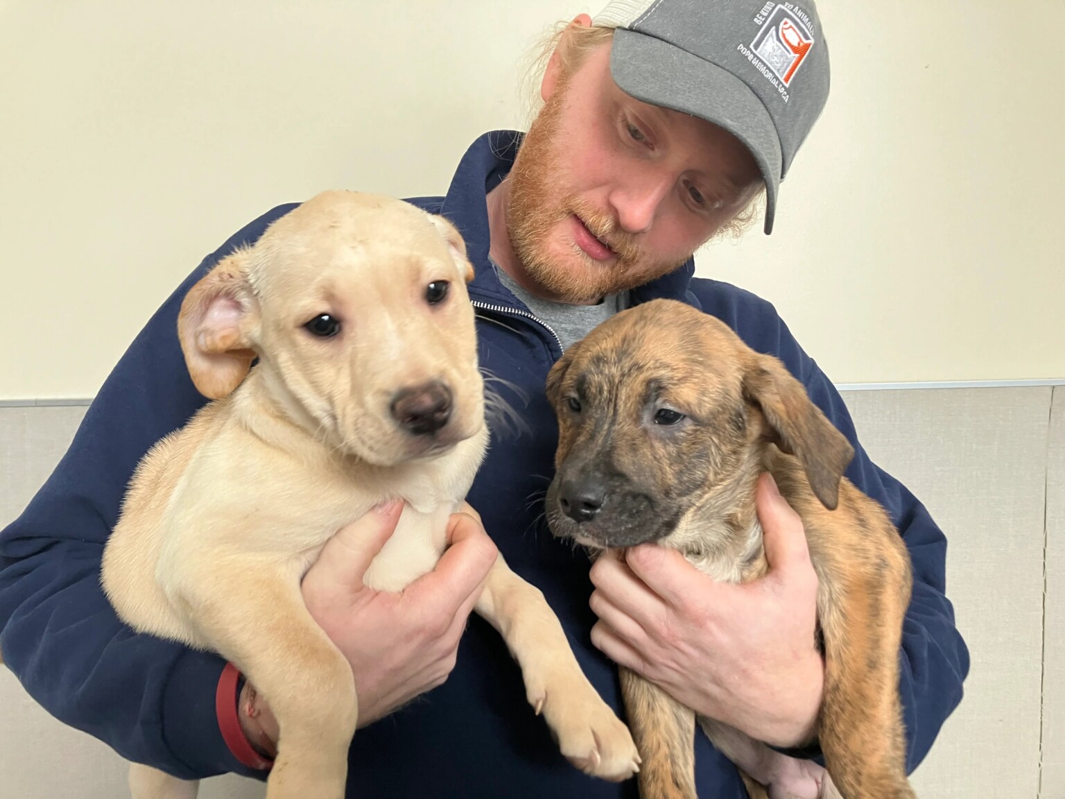 Pope Memorial SPCA of Concord-Merrimack County - NH Business Review