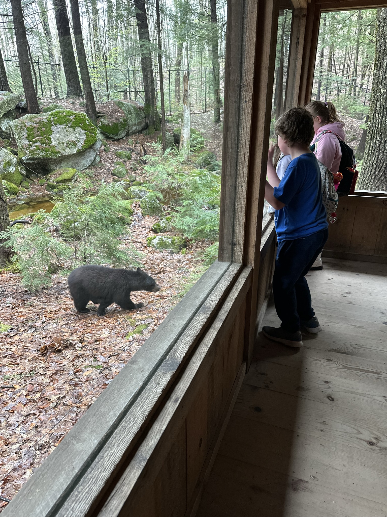 Squam Lakes Natural Science Center - NH Business Review