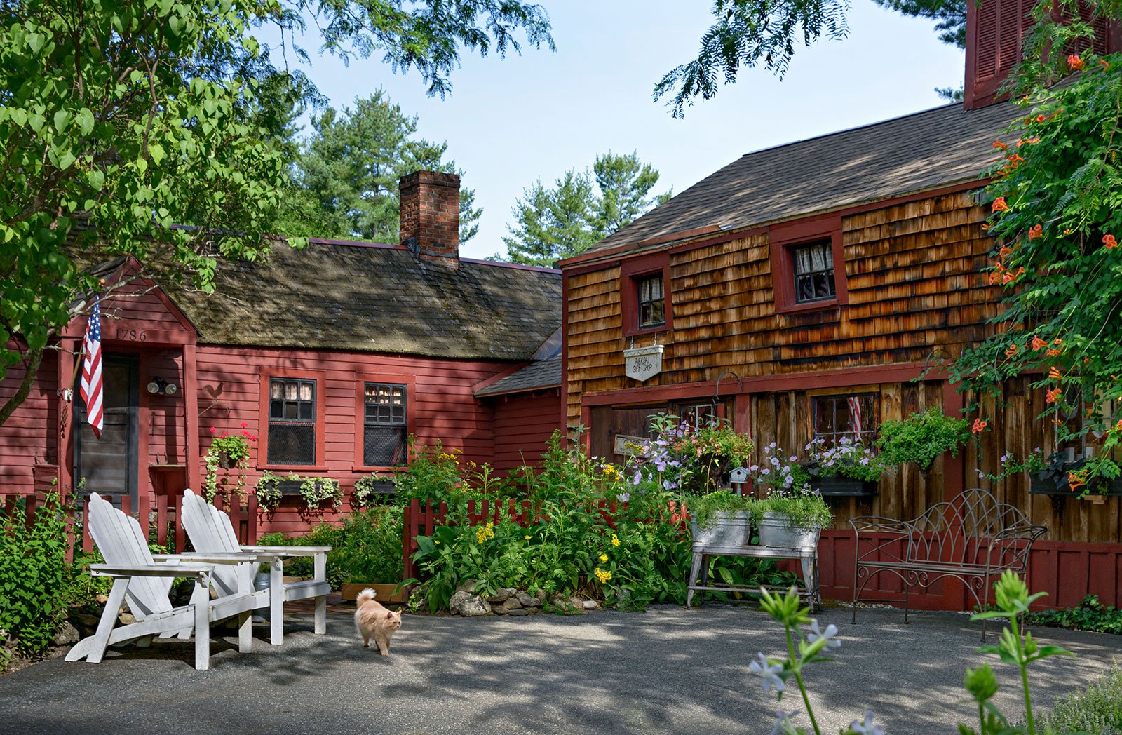 Cultivating a Taste for Herbs - New Hampshire Home Magazine