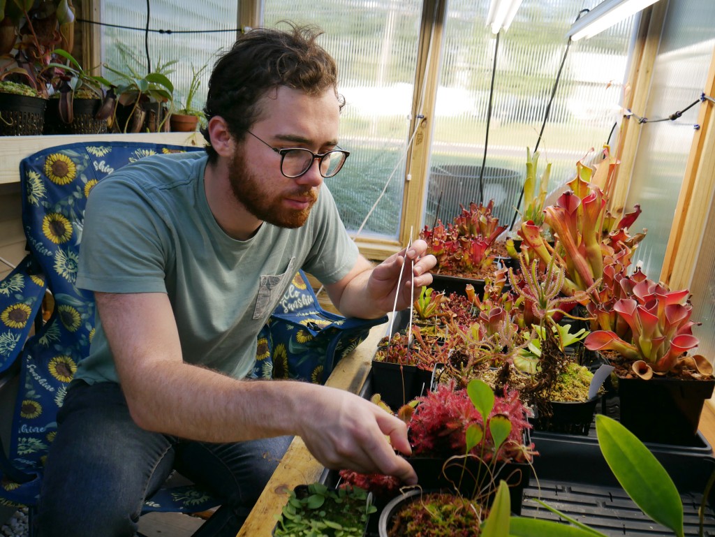 Fascinating Flora - New Hampshire Home Magazine