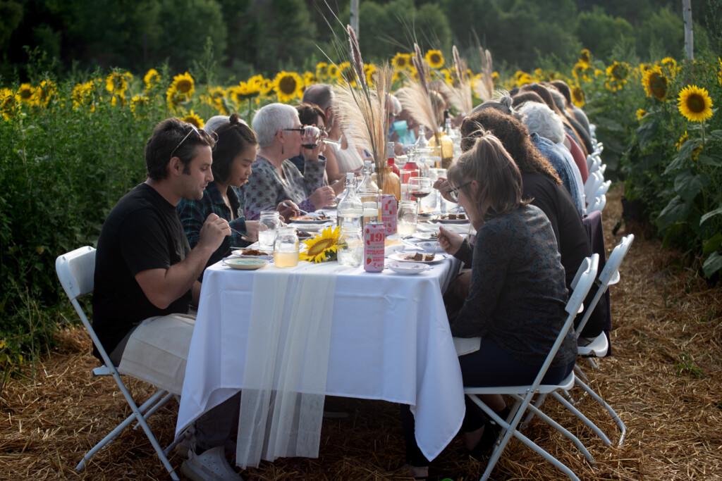 Sunflower Daze - New Hampshire Home Magazine