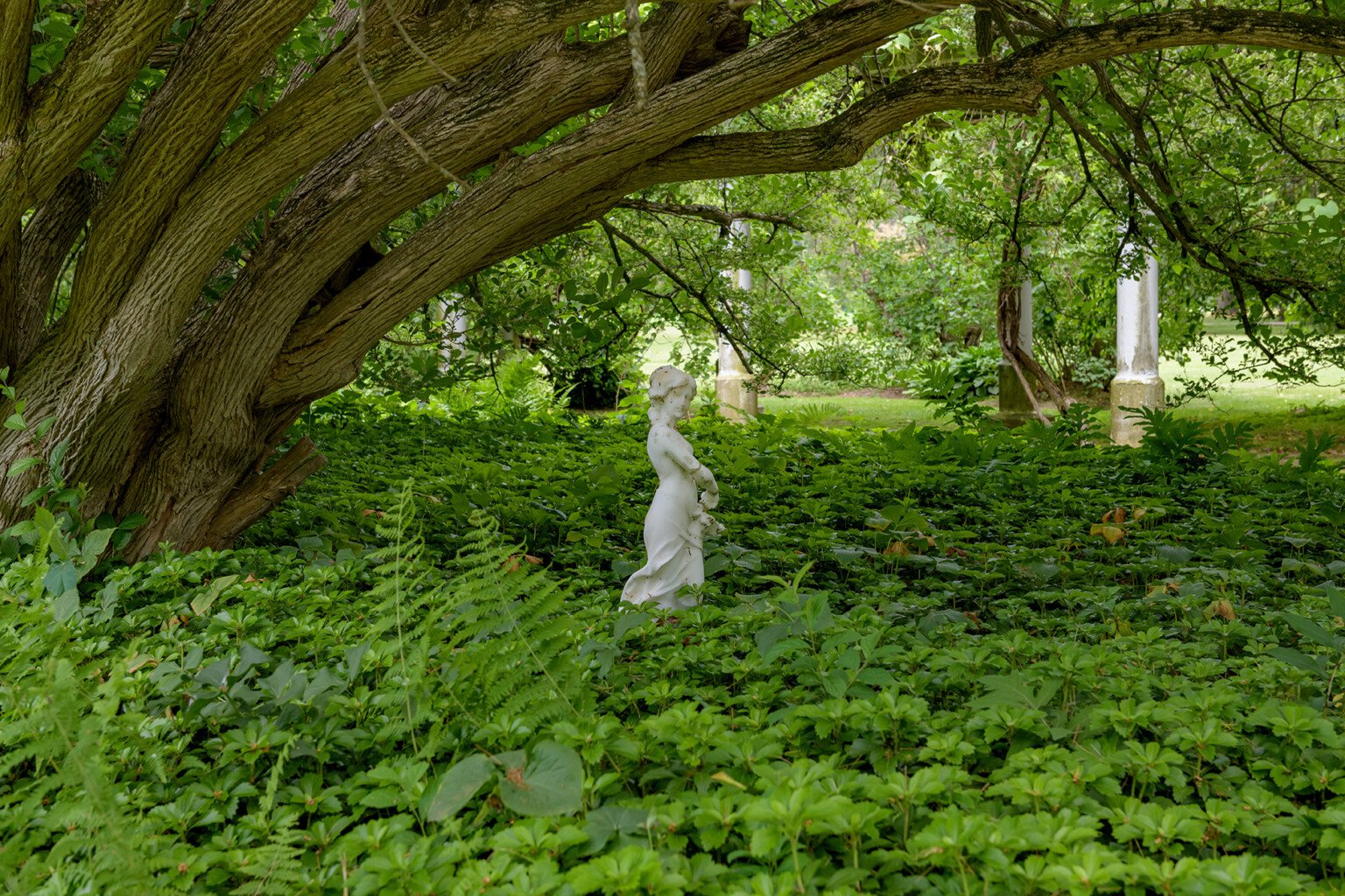 A Garden for the Ages - New Hampshire Home Magazine