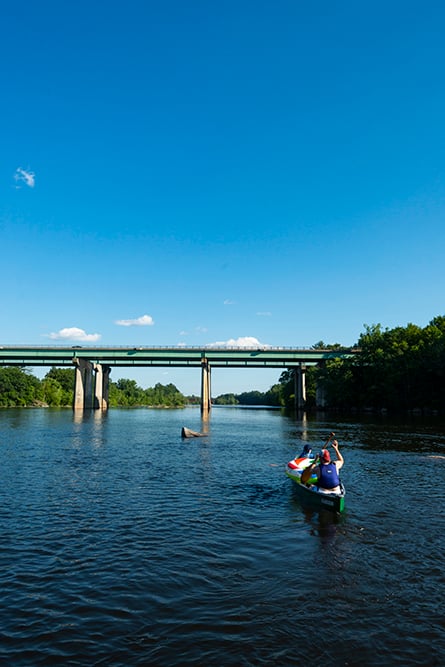 City River Gone Wild: Paddling the Merrimack River Through Manchester ...