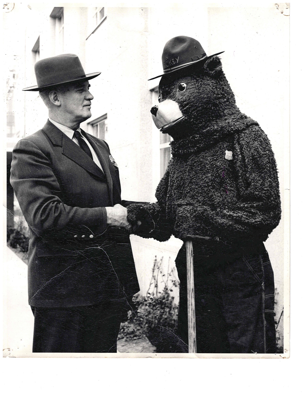 Smokey Bear Turns 75 - New Hampshire Magazine