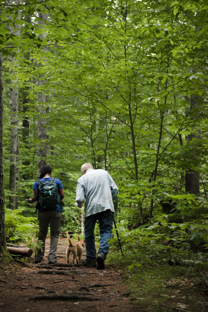 Walking with Willem - New Hampshire Magazine