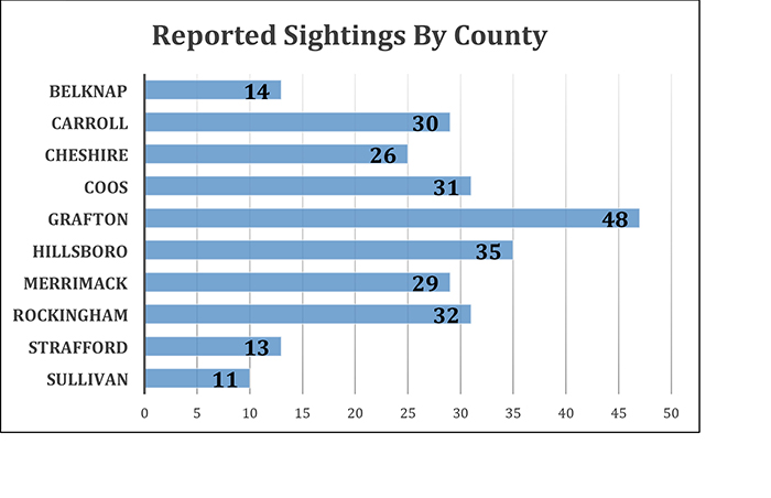 Bigfoot Lives — At Least on Screen - New Hampshire Magazine