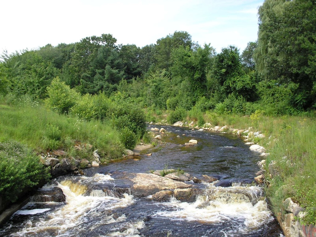 The History, Legends and Progress of Manchester's Urban Ponds - New ...