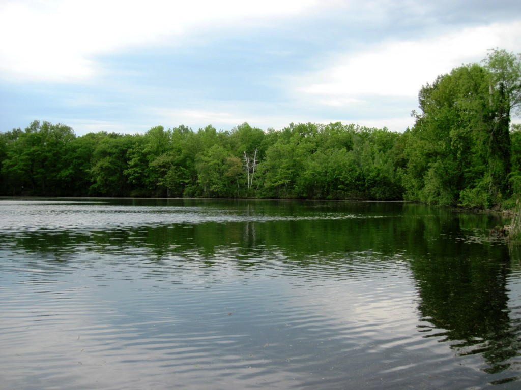 The History, Legends and Progress of Manchester's Urban Ponds - New ...