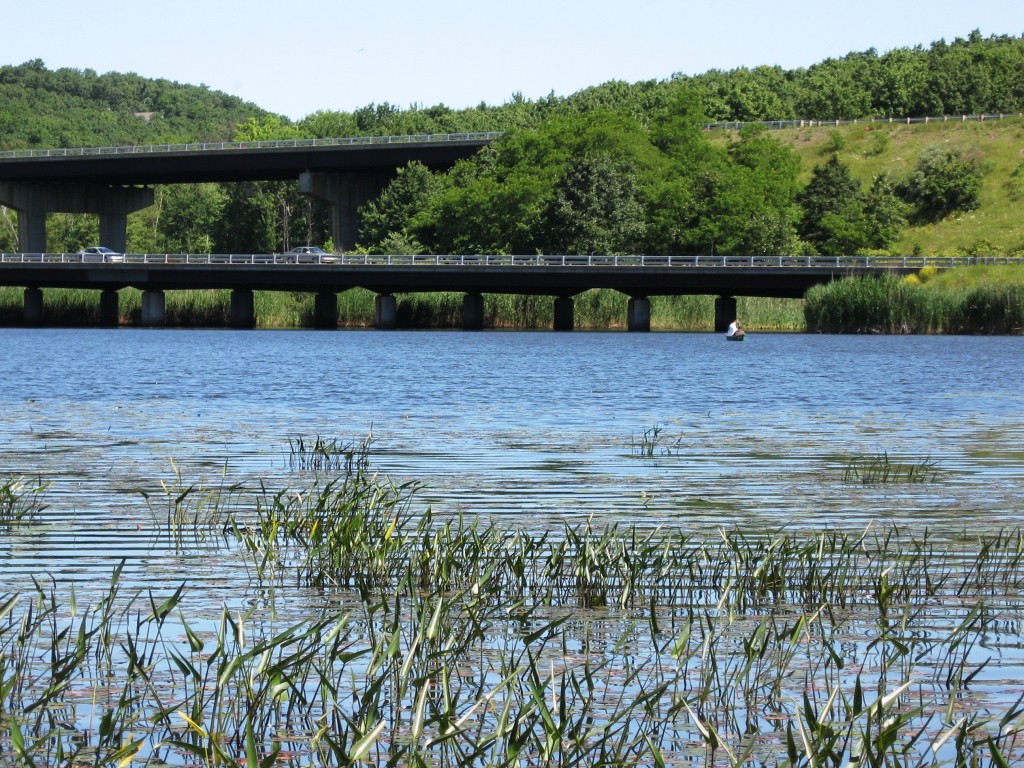 The History, Legends and Progress of Manchester's Urban Ponds - New ...