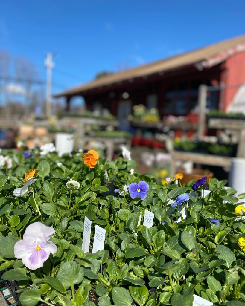 Meet Your Local Farm: Spring Ledge Farm's Greg Berger - New Hampshire ...