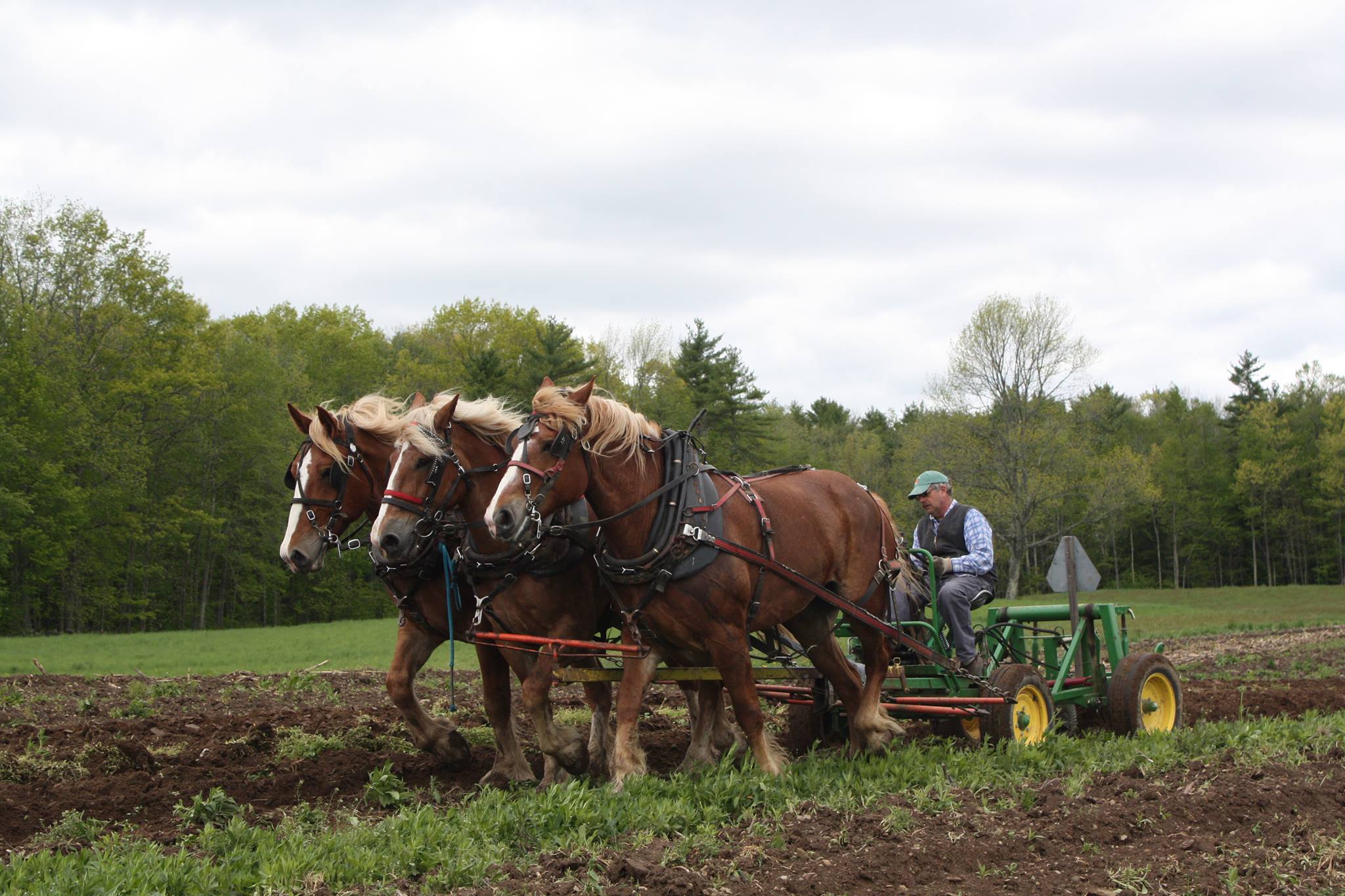 Meet Your Local Farm: Coppal House Farm's John Hutton - New Hampshire ...