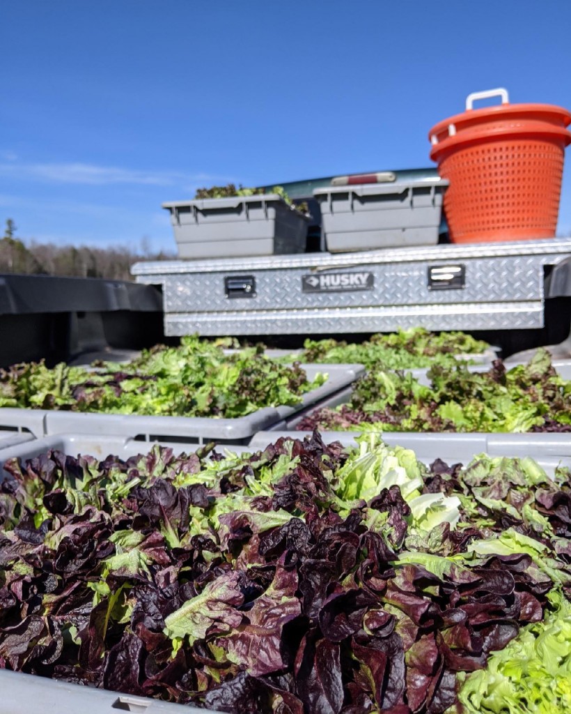 Meet Your Local Farm: Spring Ledge Farm's Greg Berger - New Hampshire ...