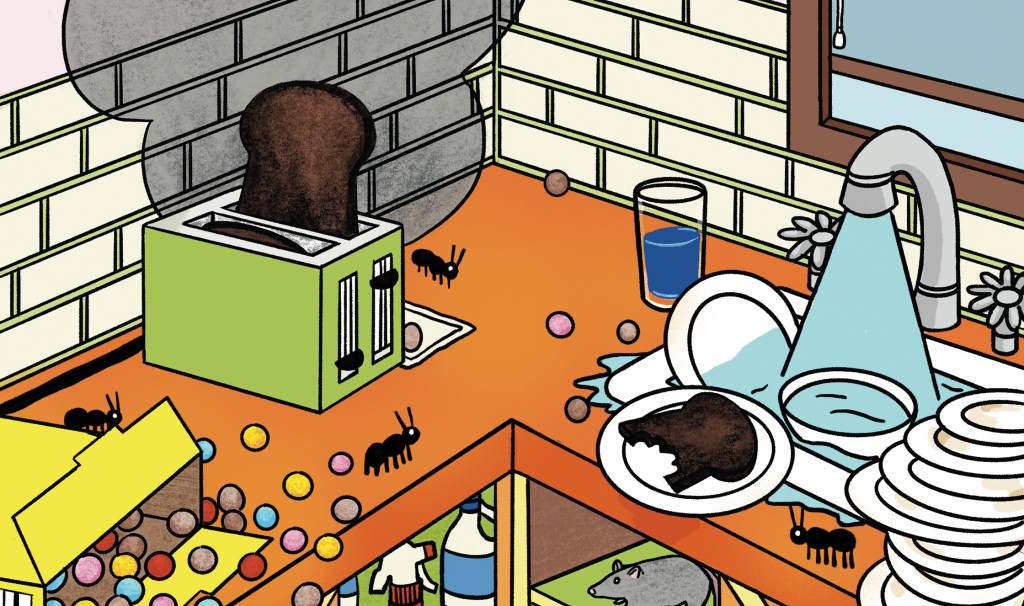 Reducing Common Health Hazards in Your Home - New Hampshire Magazine