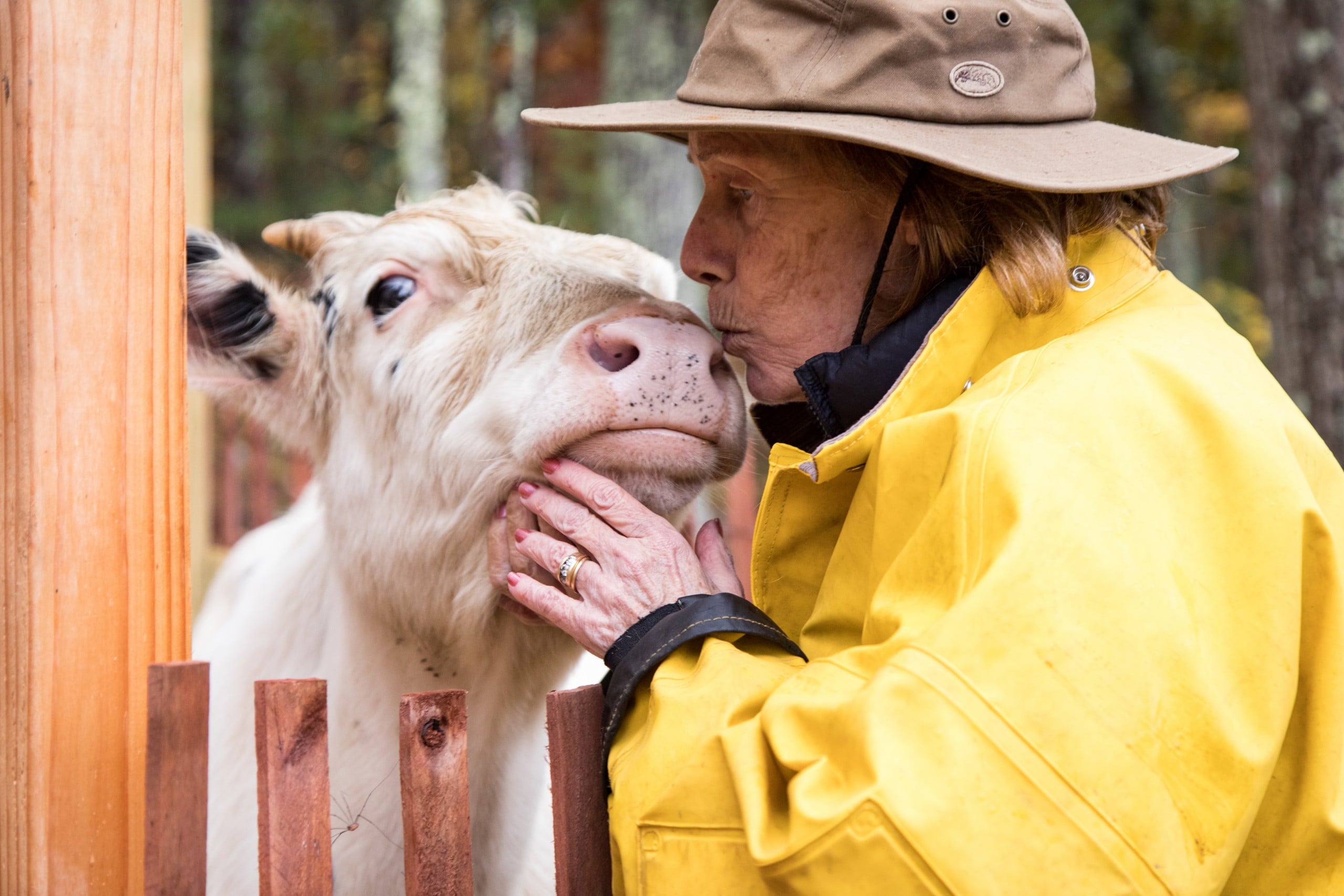 Udderly Embraceable - New Hampshire Magazine