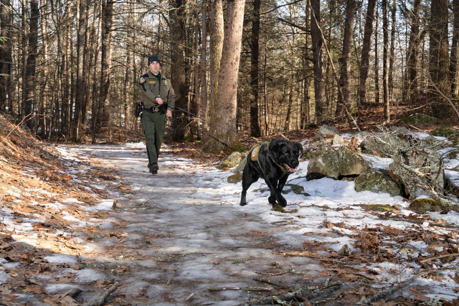 Hero Animals - New Hampshire Magazine