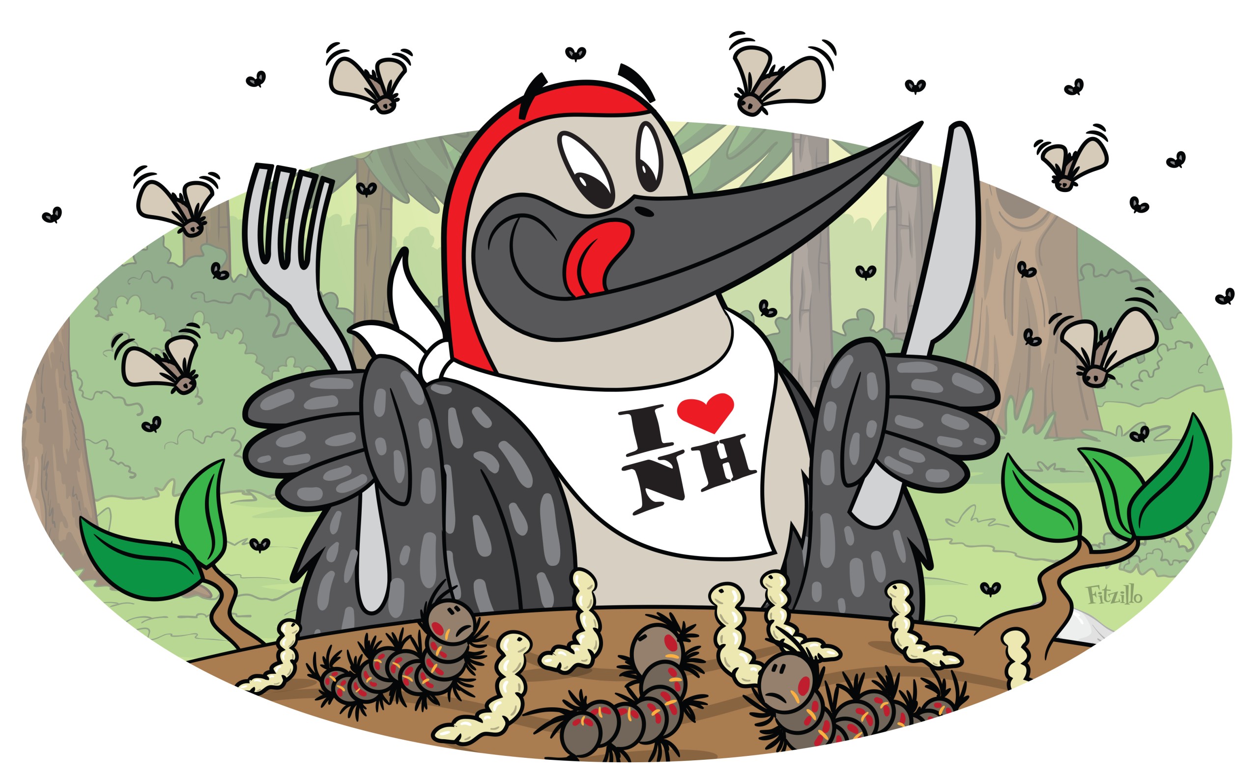 Bugs! You’re Buggin’ Me - New Hampshire Magazine