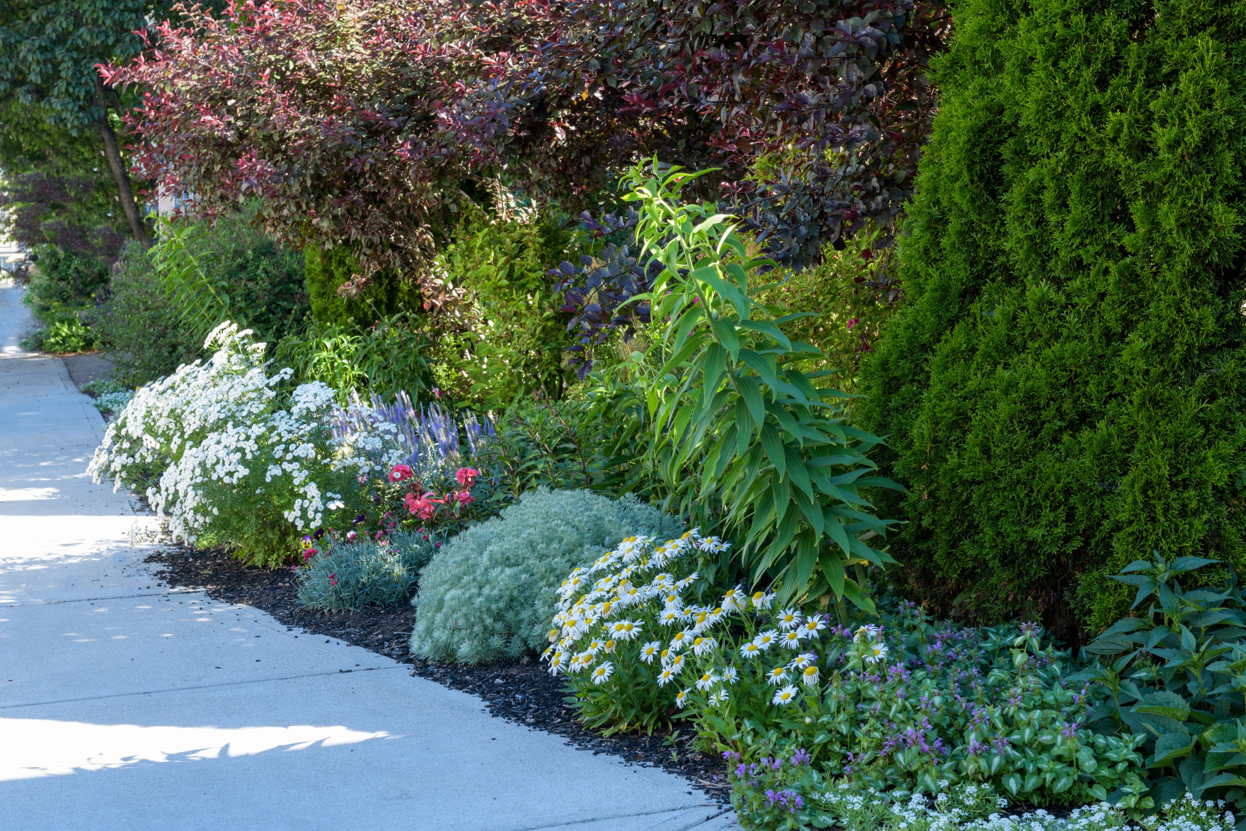 Inspiration Blooms - New Hampshire Magazine