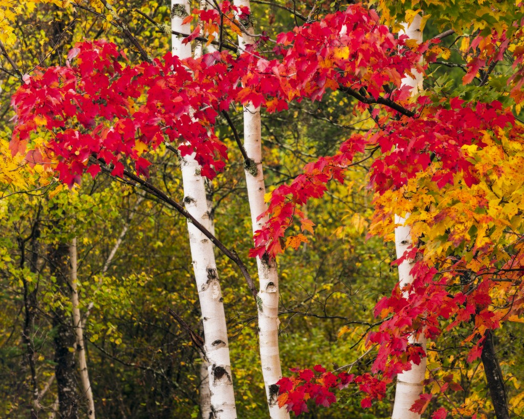 5 Foliage Drives With a Payoff - New Hampshire Magazine