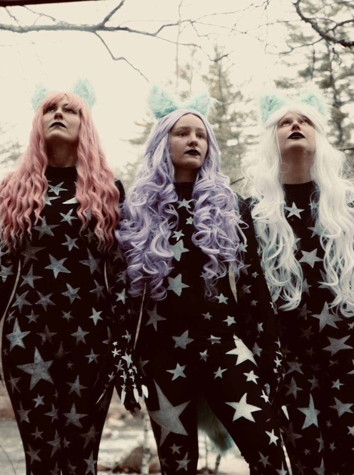 Cubicle Concerts: CATWOLF - New Hampshire Magazine