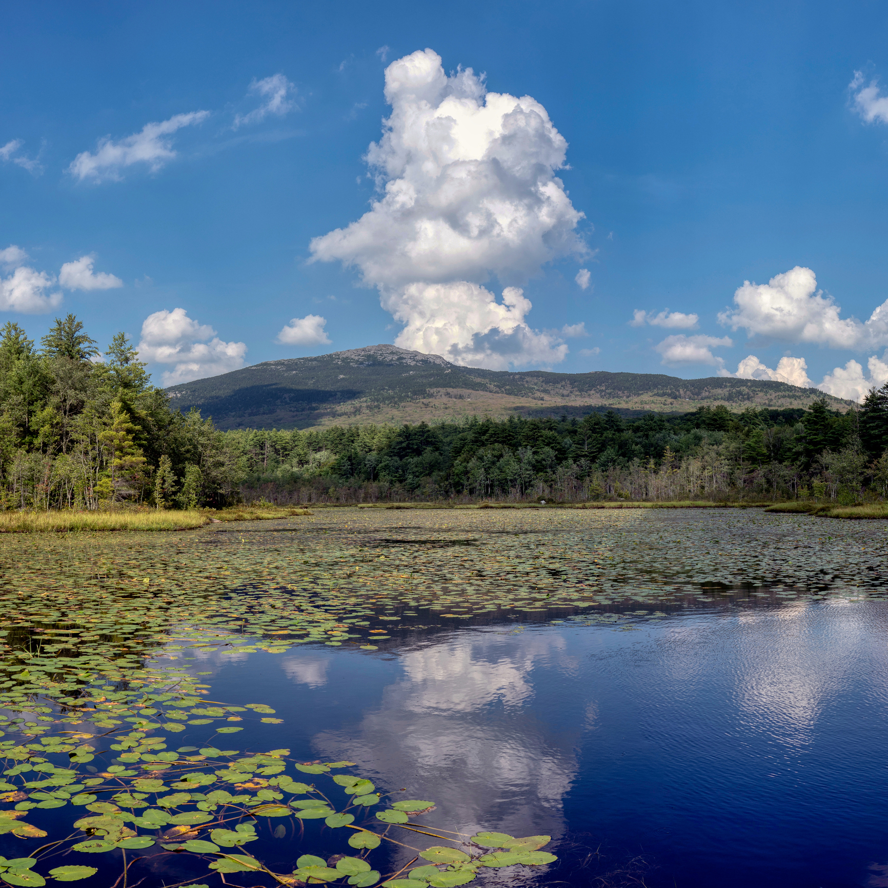 Best Places to Wander: Three Delightful Road Trips