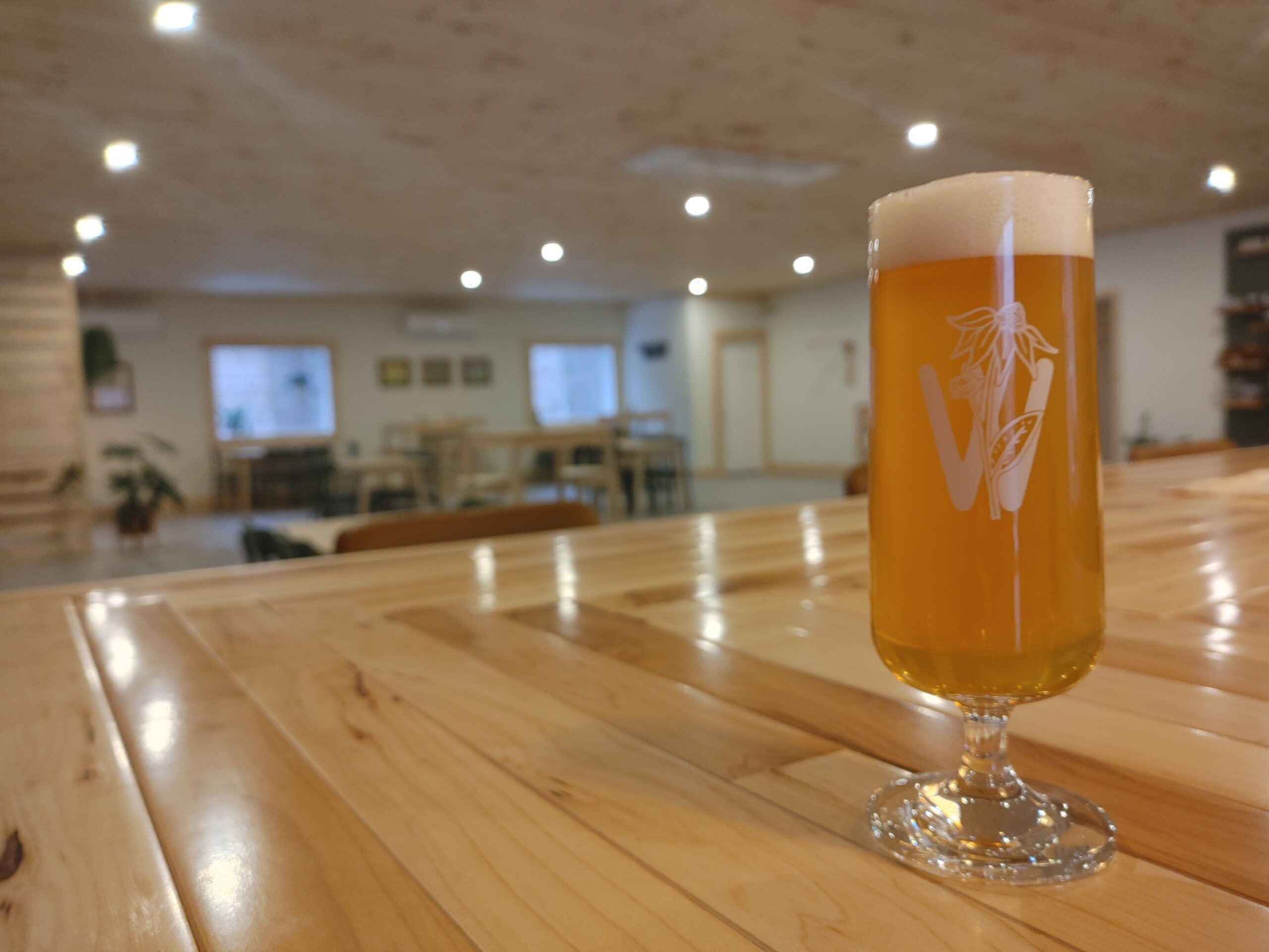 Meet the Brewer: Wildbloom Beer’s Devin Bush