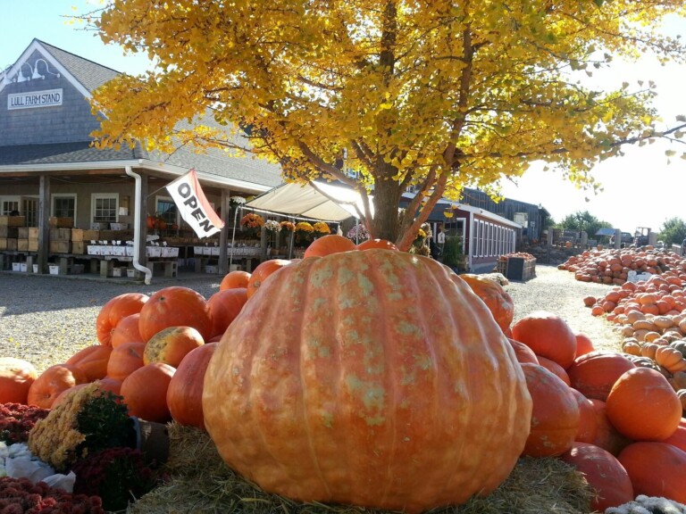 Best Farmstands in NH - New Hampshire Magazine