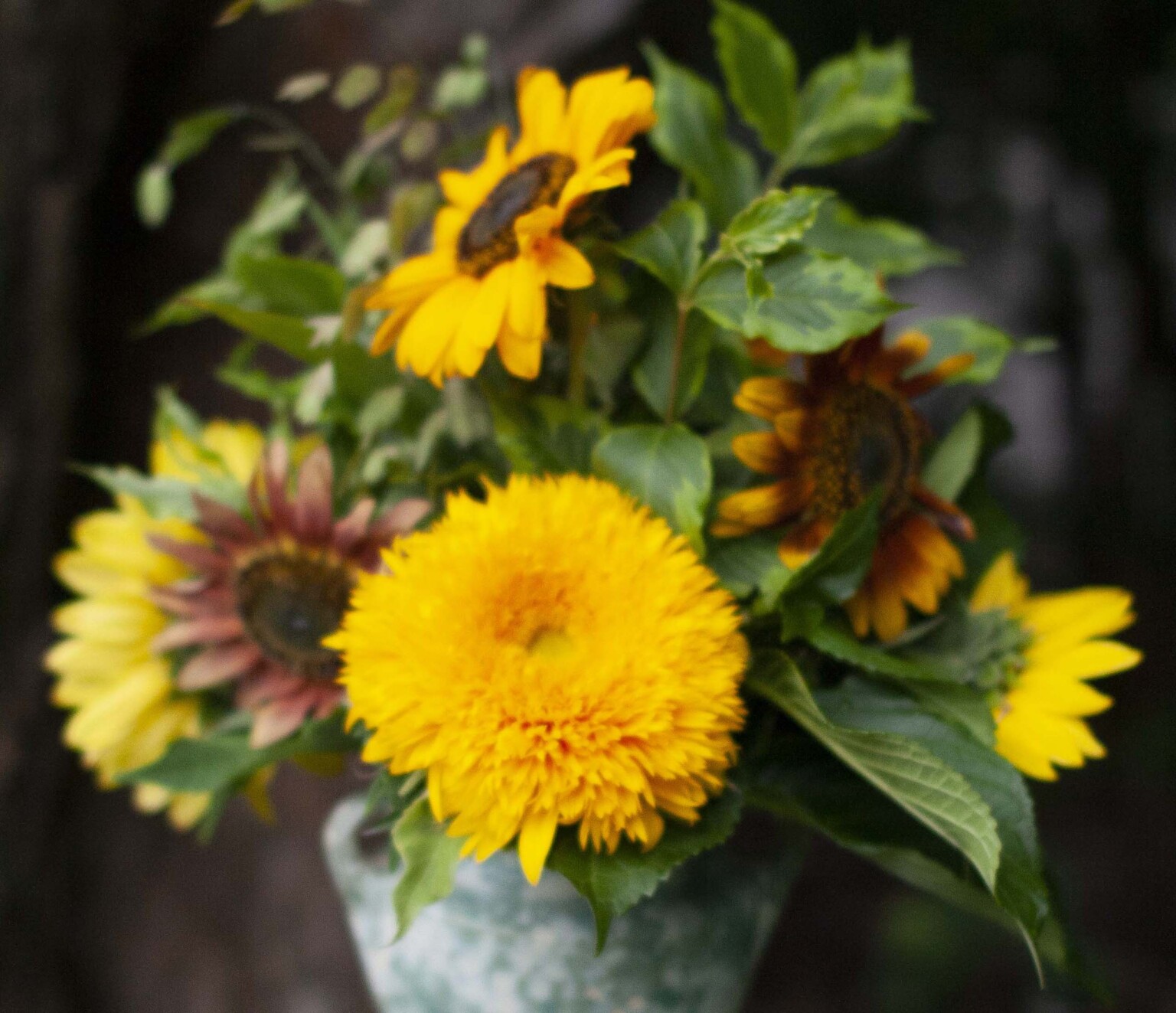 Flower Power: Visiting NH's "Cut-Your-Own" Gardens