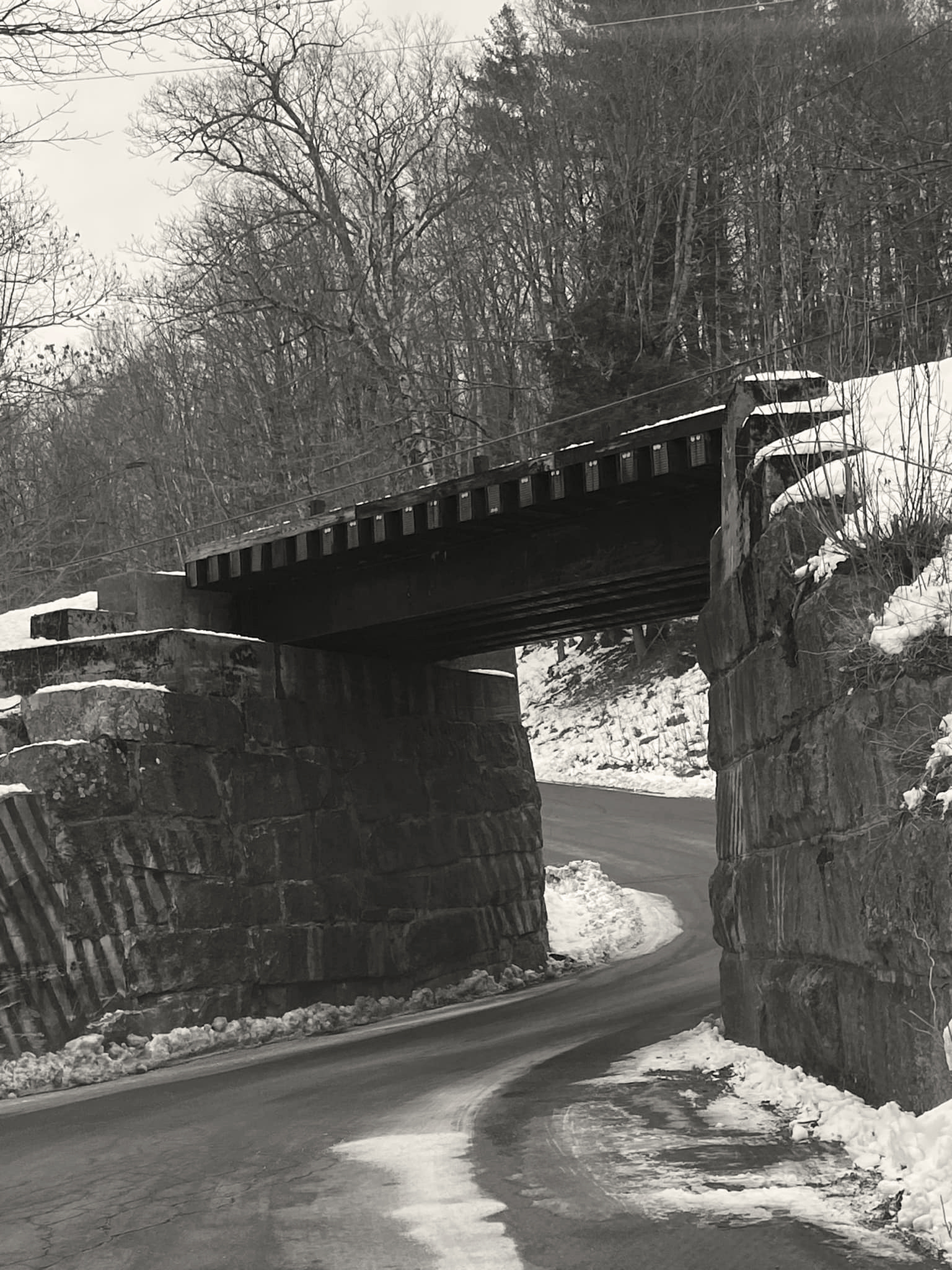 Cattle Thieves at Hobo Junction - New Hampshire Magazine