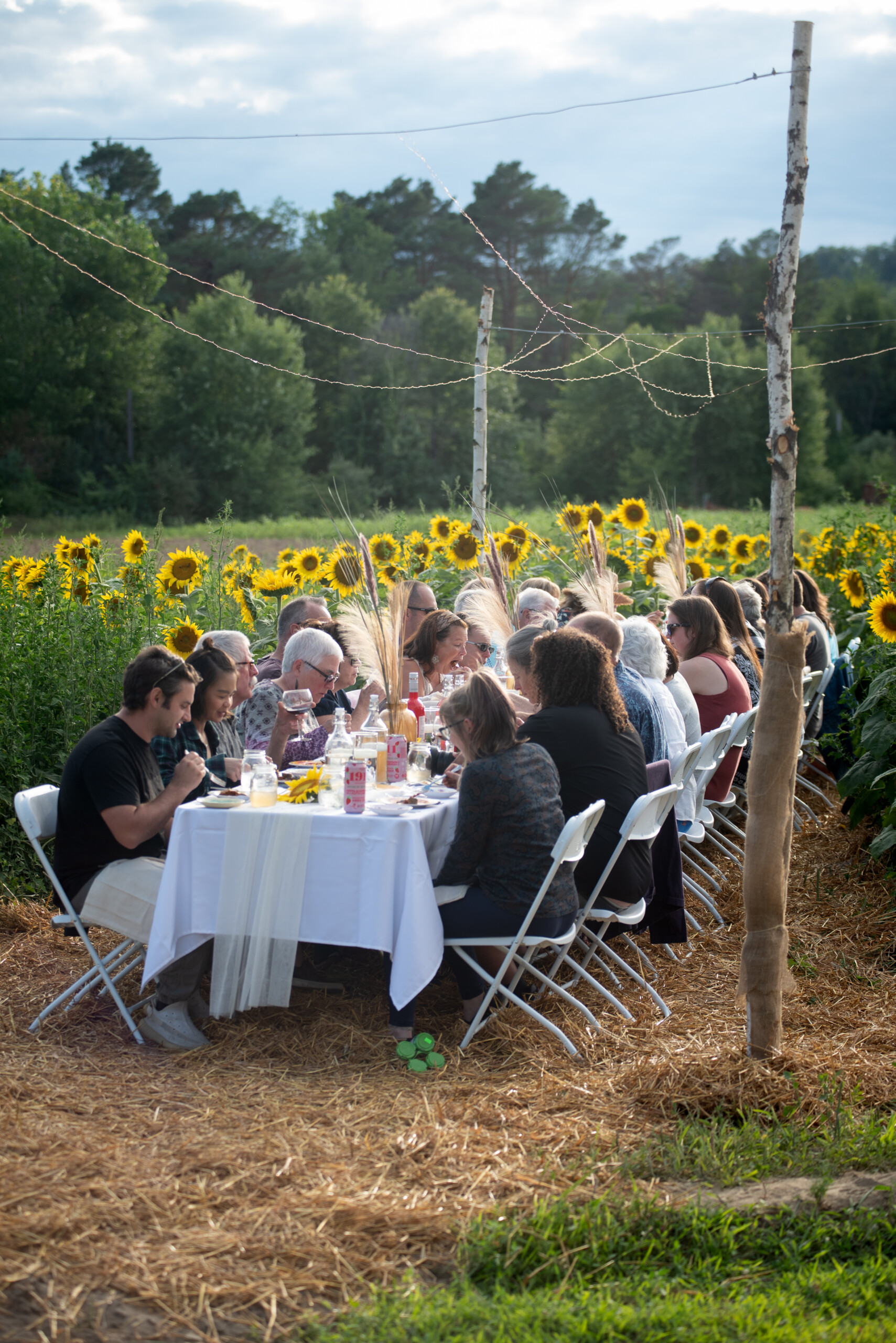 Scattering Seeds of Sustainable Sunshine - New Hampshire Magazine