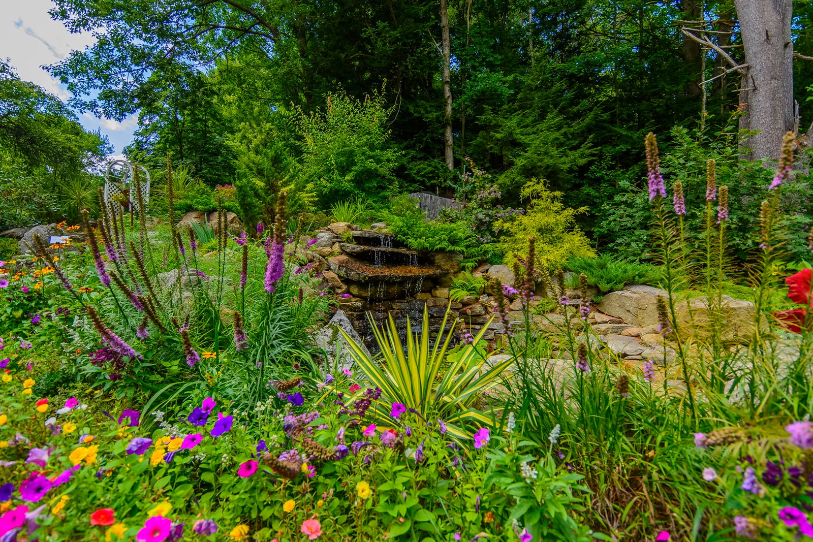 Best Places: Recommended Picnic Spots - New Hampshire Magazine