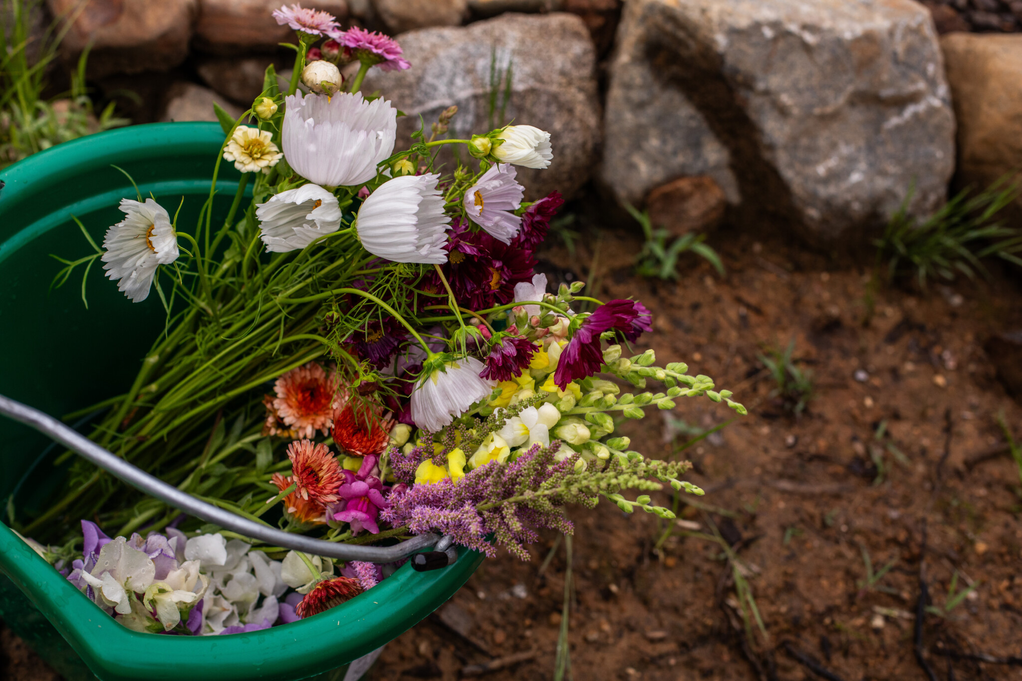 Bouquets in Bloom - New Hampshire Magazine