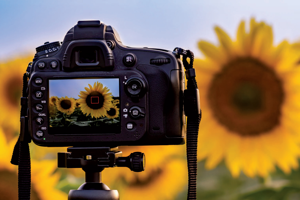 New Hampshire Magazine's Reader-submitted Photo Contest