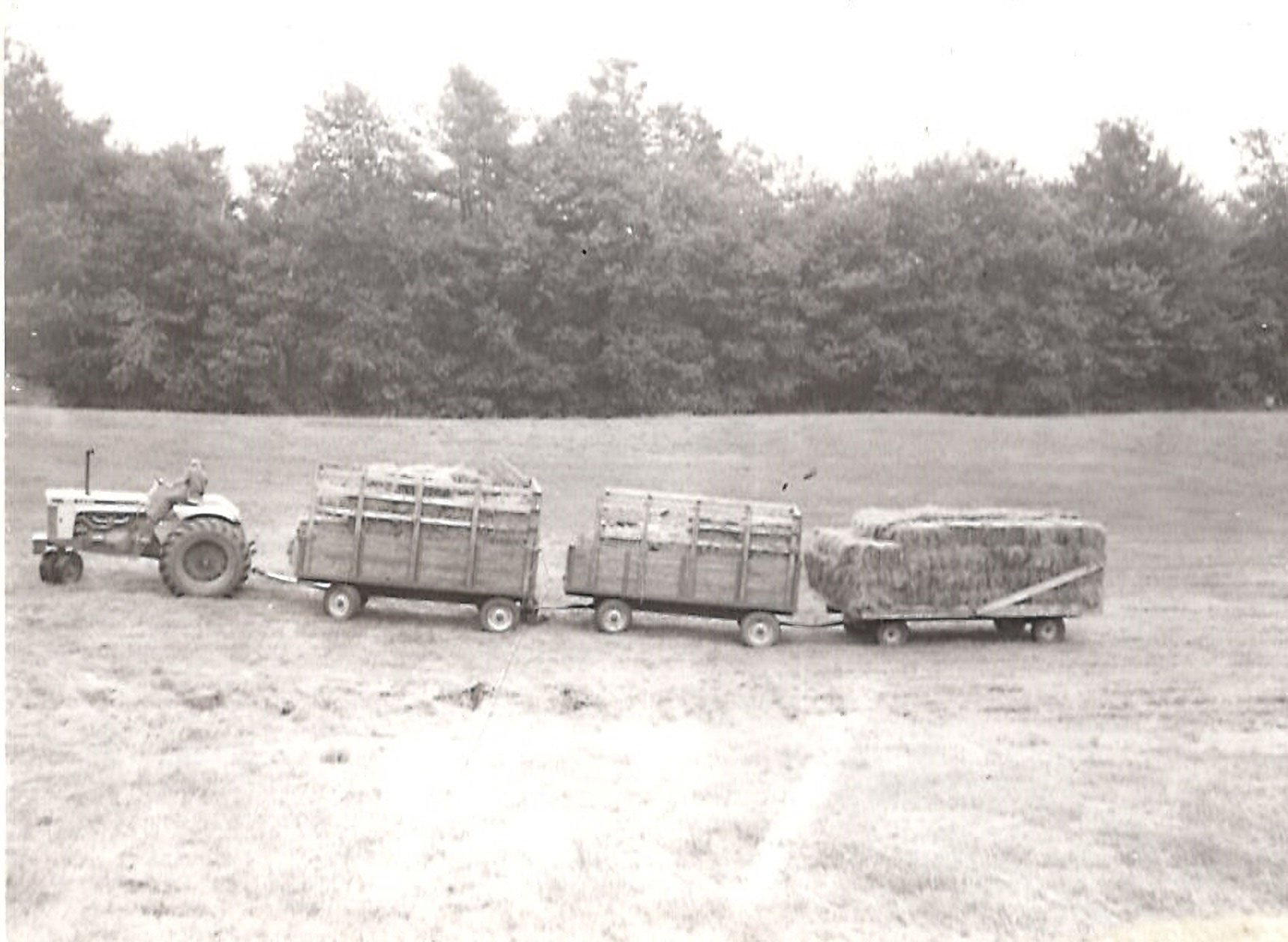 The Timeless Summer Ritual of New Hampshire Haymaking