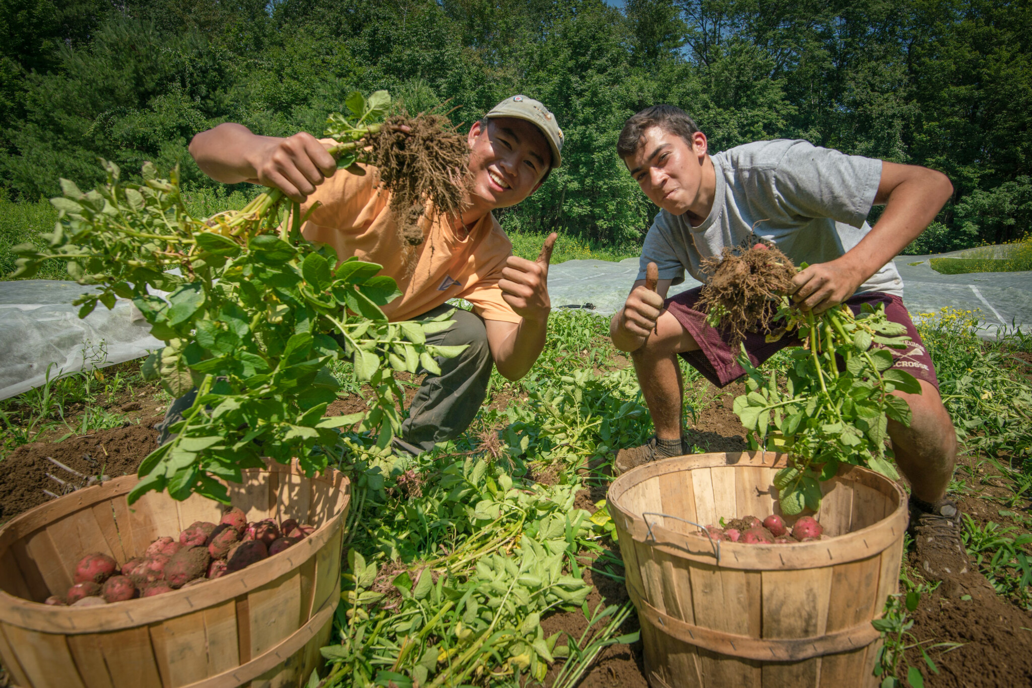 Granite State Growers: Moulton Farm of Meredith