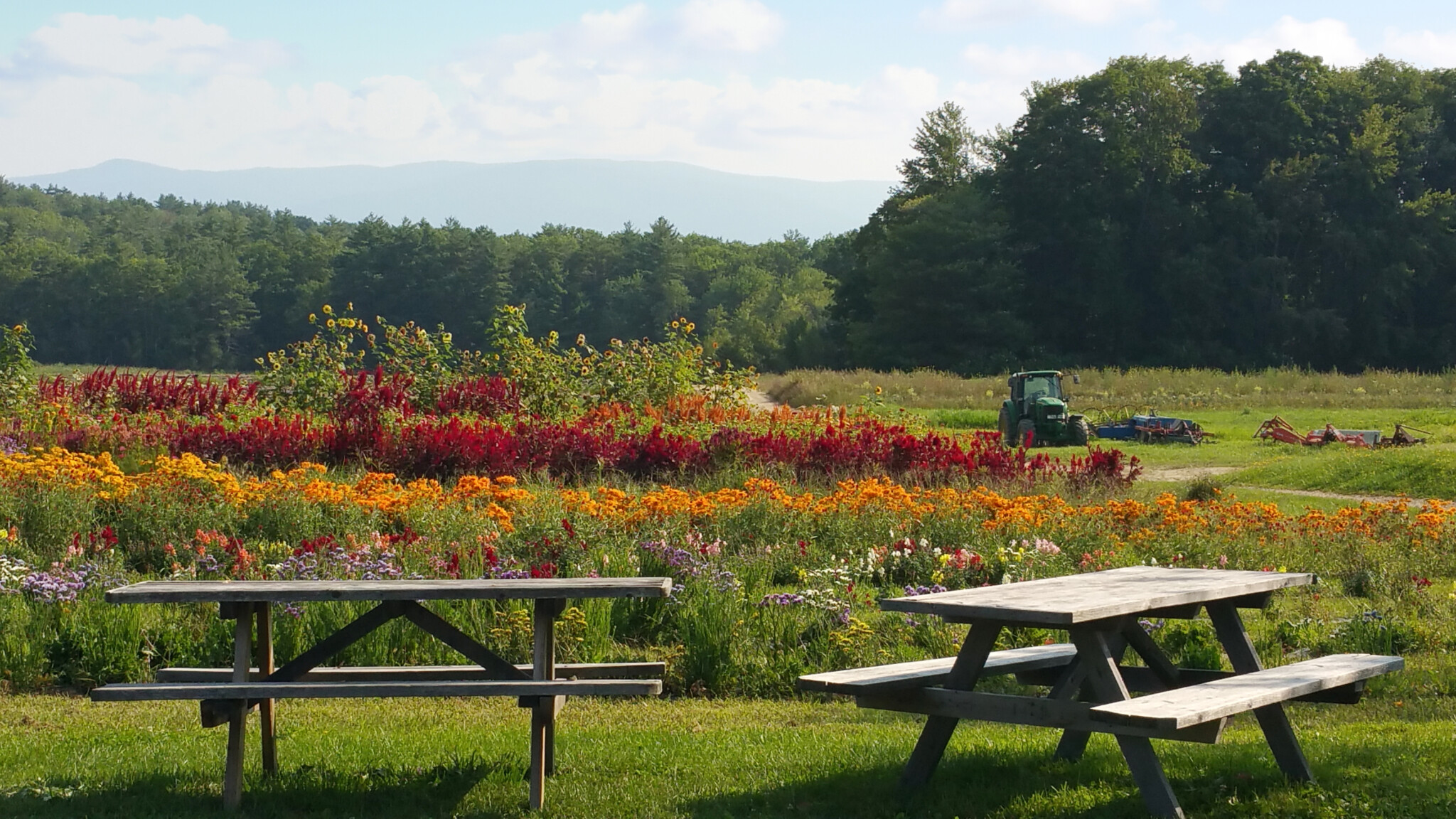 Granite State Growers: Moulton Farm of Meredith
