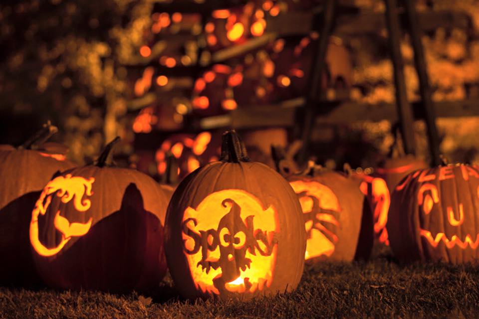 NH Fall Festivals Celebrate All Things Pumpkin - New Hampshire Magazine