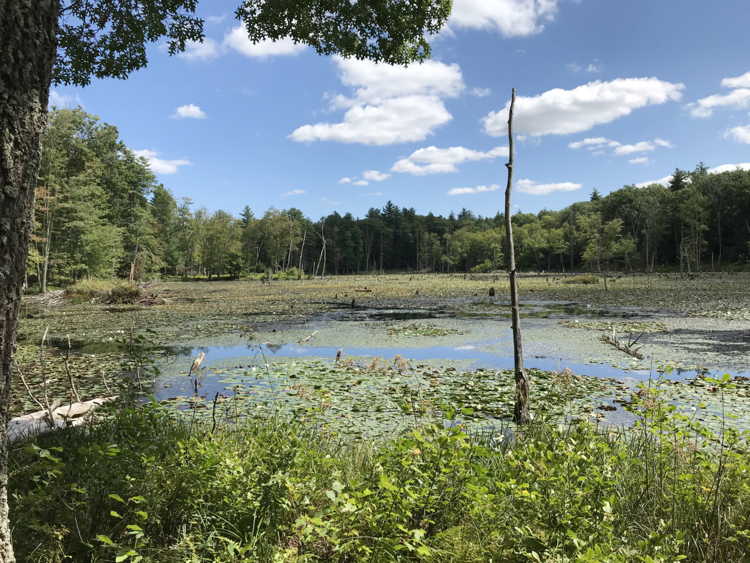 Pelham's Hidden Gems - New Hampshire Magazine