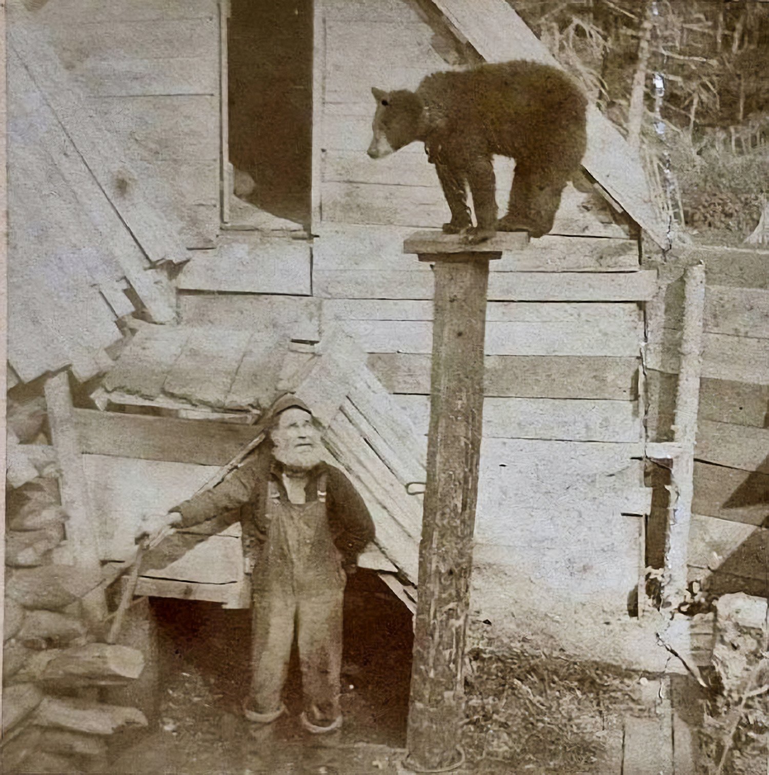 The Hermit of Crawford Notch: Investigating the Legend of English Jack ...