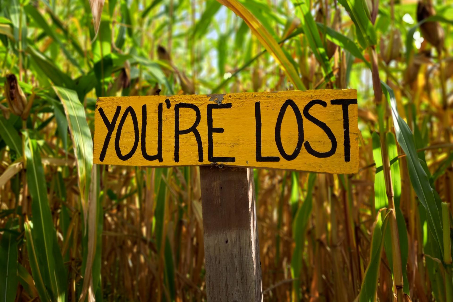 NH Corn Mazes to Get Lost in This Fall - New Hampshire Magazine